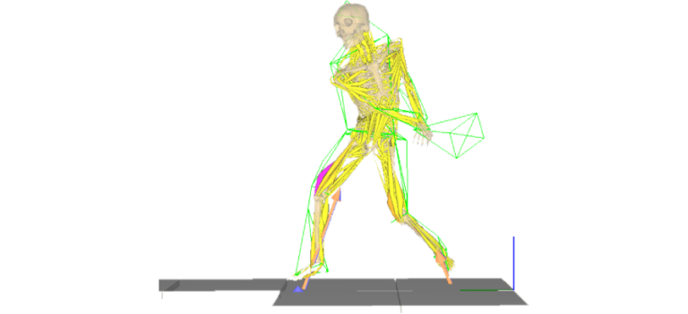 モーションキャプチャシステム e-skin MEVA (モーション計測) - メド・インテックエージェンシー